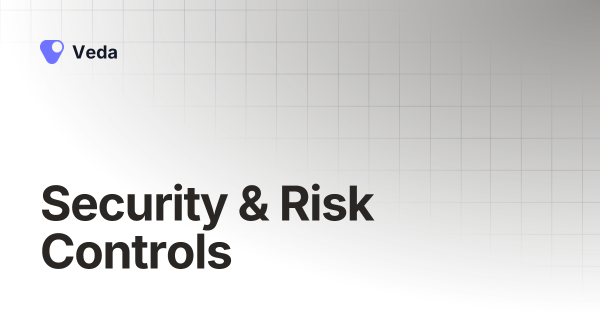 Security & Risk Controls | Veda